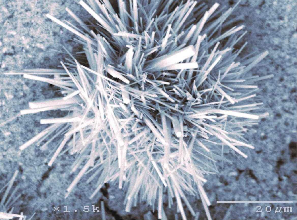 Chemistry of Cement and Concrete